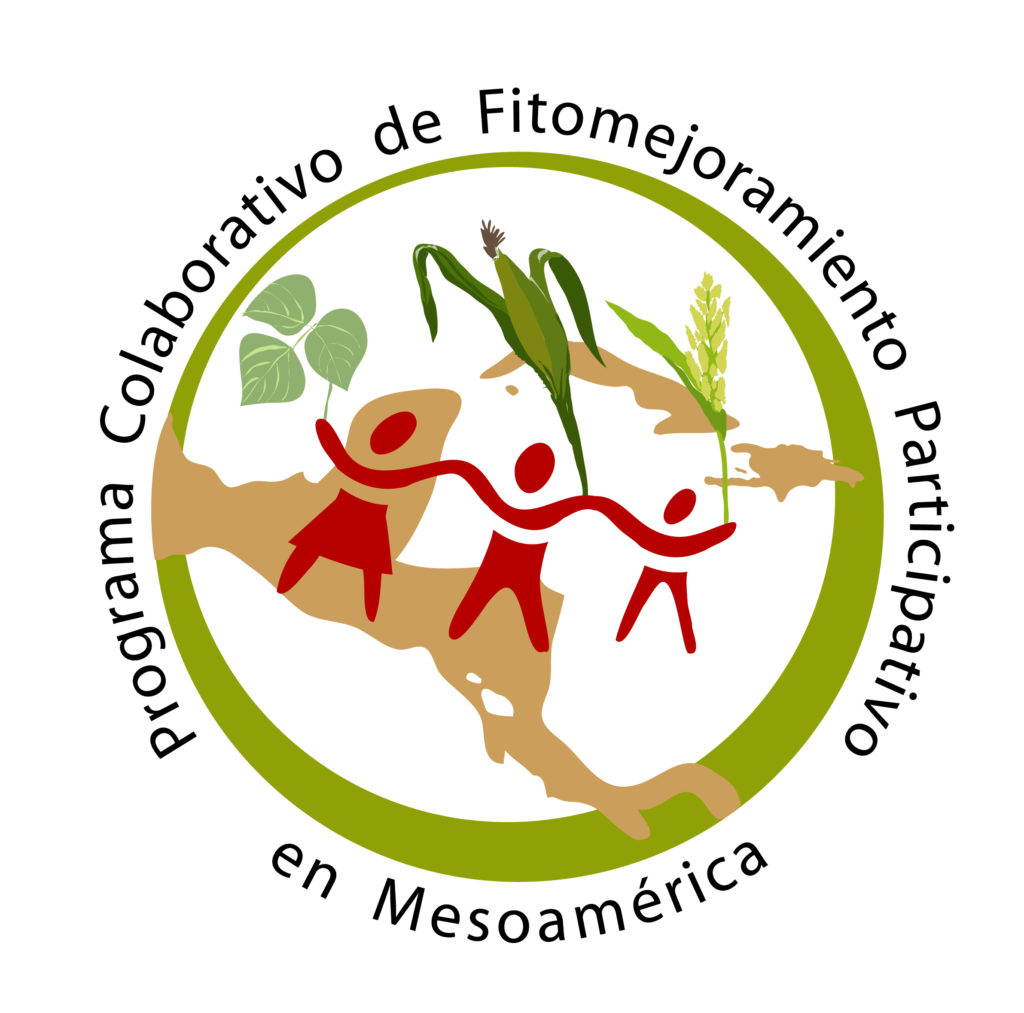 Socios Estrategicos – ASOCUCH